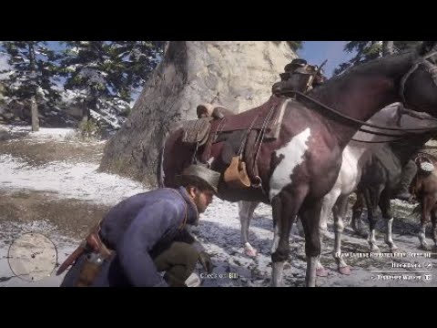 Red dead horses ball sack comparison ( hot n cold nuts )