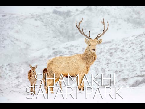 Shamakhi Safari Park