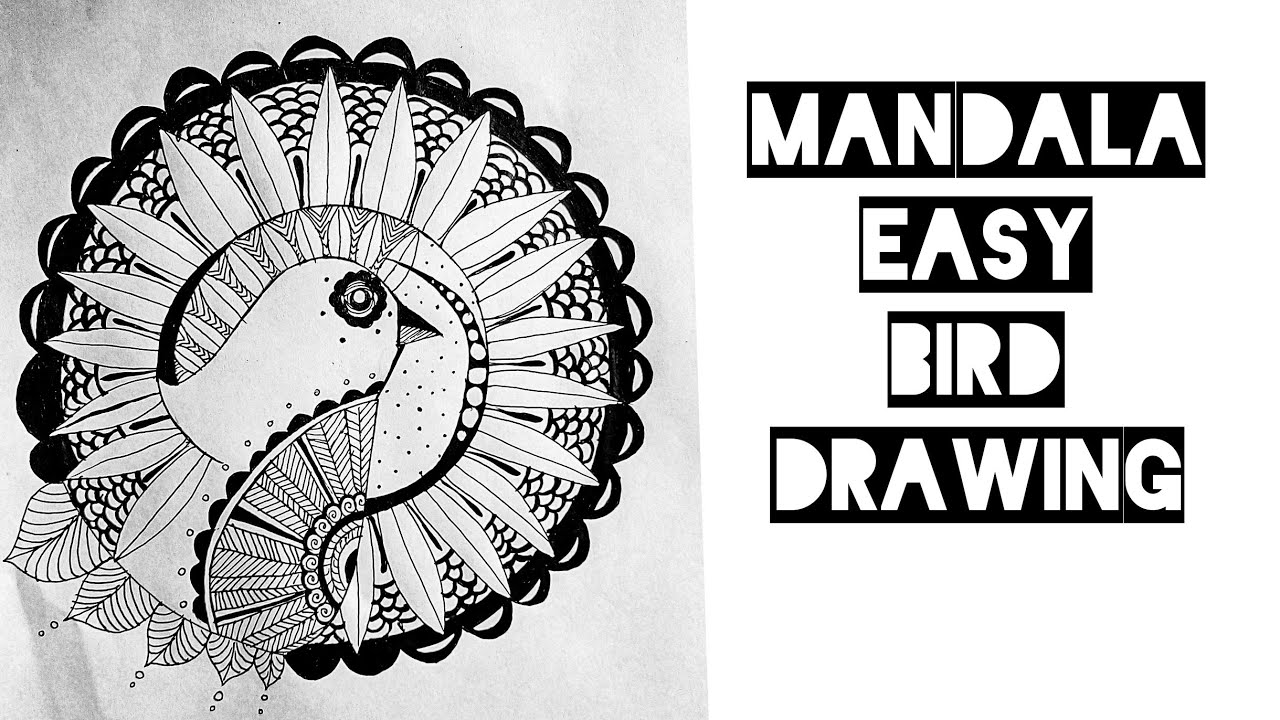 Mandala Bird drawing - YouTube