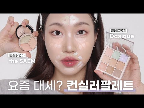 🤦‍♀️컨실러팔레트 뭐 살까요? 더샘 vs 데이지크 비교리뷰  | 민스코 Minsco