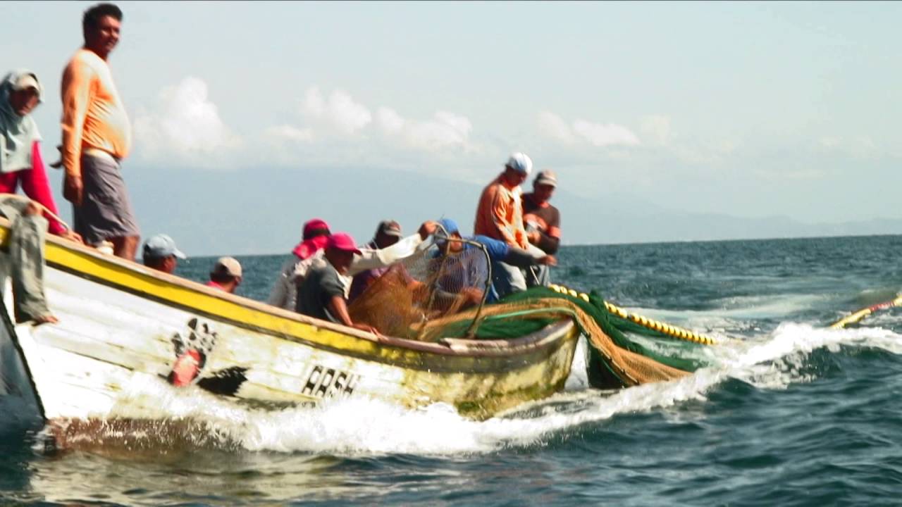 Pura Pesca, Estilo Venezolano (Cap. Hala pa Tierra) - YouTube