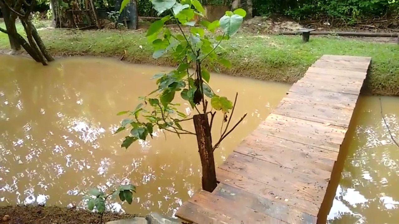 NASCENTE DE ÁGUA NATURAL - PASSEIO NO SÍTIO - YouTube