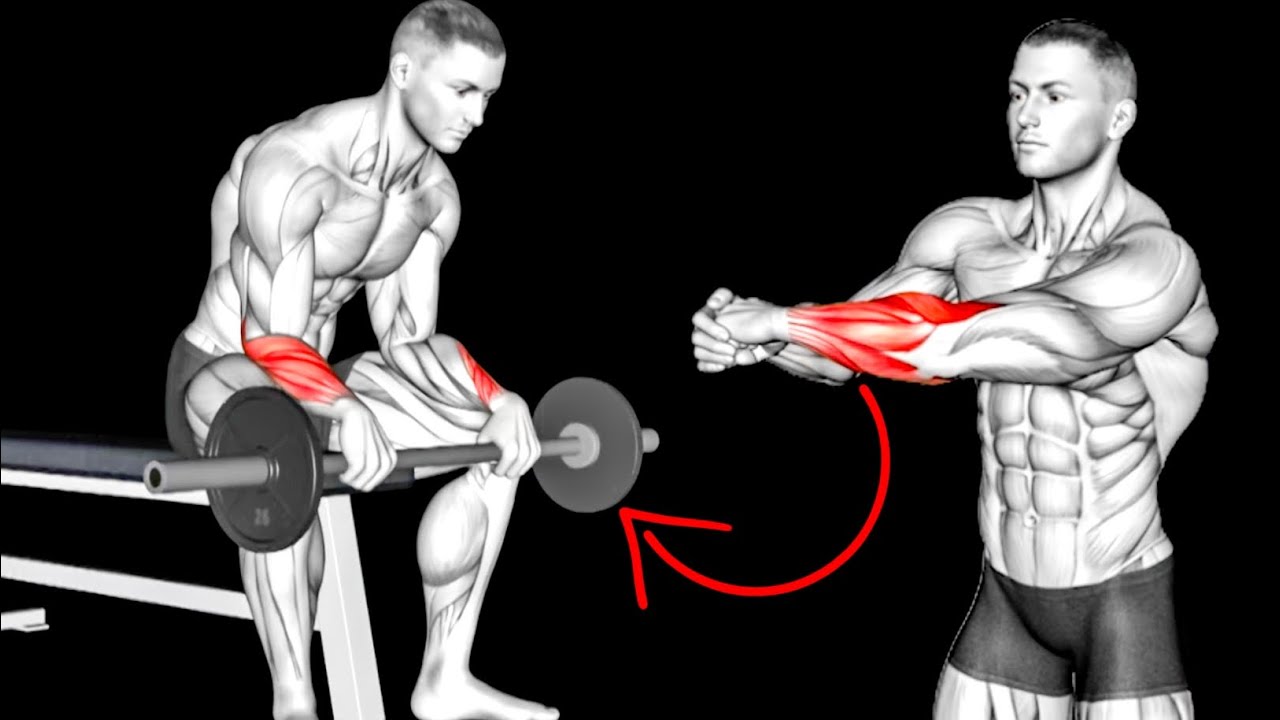 How To forearm workout at home forearms workout in gym - YouTube