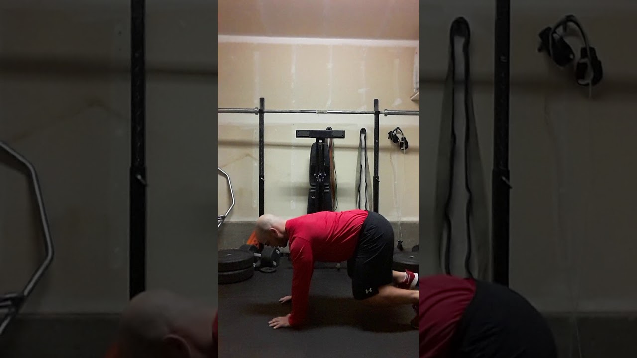 Bear Crawl Position Shoulder Taps - YouTube