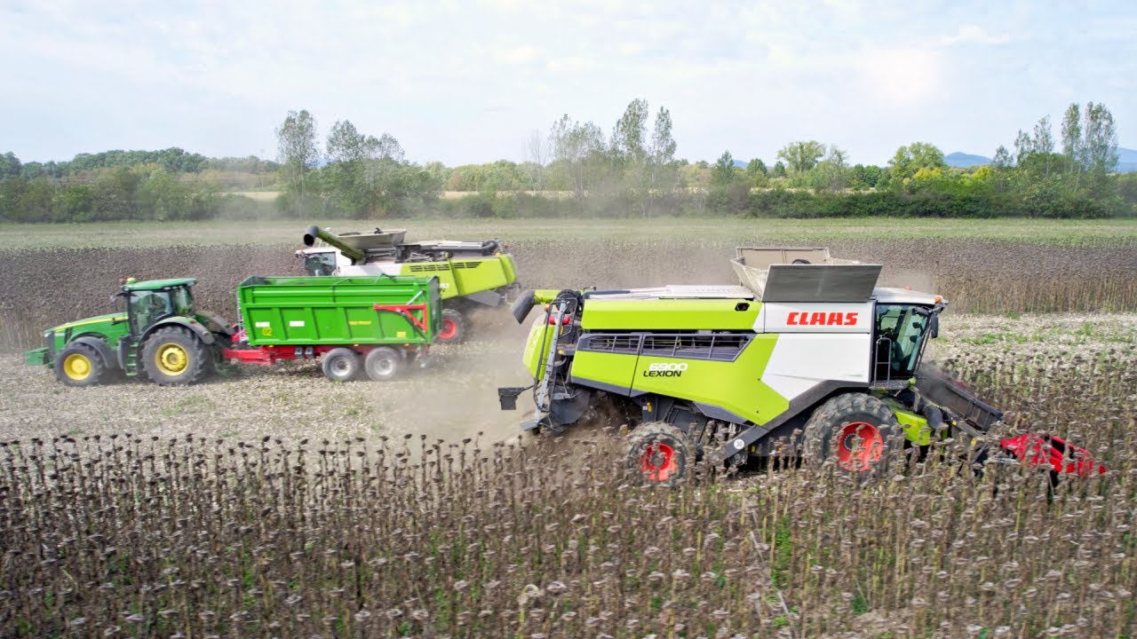 CLAAS Lexion 6900 & 670 | Sunflower Harvest | 4K 2022 - YouTube