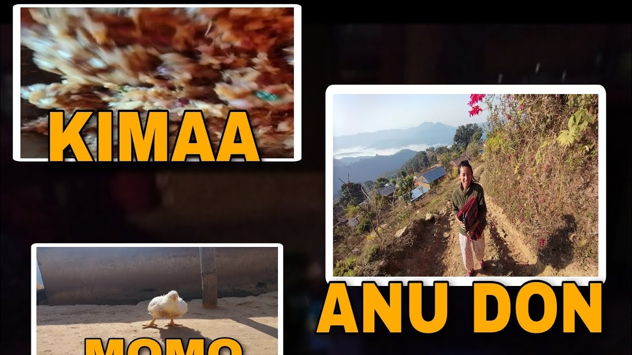 || MOMO || MITHO MITHO || HOME MADE MOMO || #12 vlog|| THOTAY VLOG ...