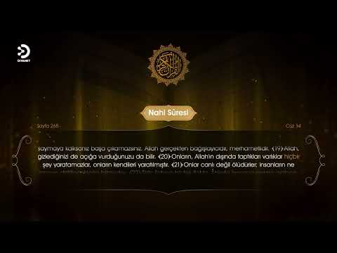 Diyanet Kuran Yolu Meali 14. Cüz - Kur’an-ı Kerim 268. Sayfa - Nahl Suresi 15-26 Ayetler