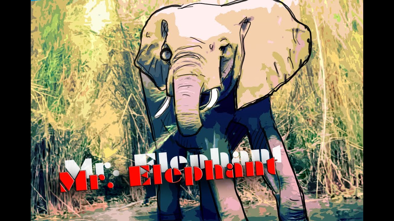 Who is Mr. Elephant? - YouTube