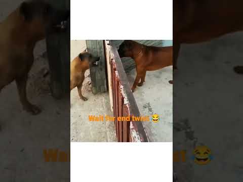 main-main dengan ayahnya