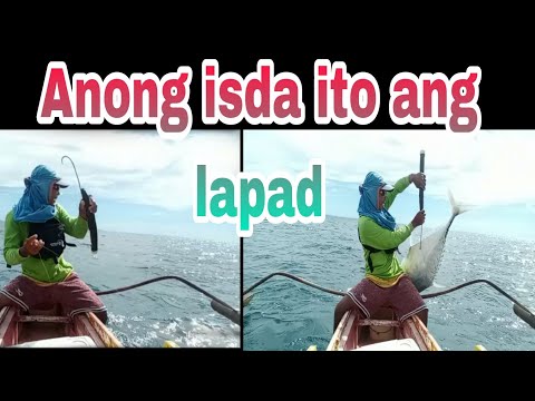 nalobug palang sinalo agad ng isdang malapad #mandaragat# Philippines🇵🇭 ...