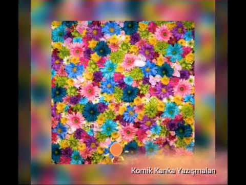 Komik Kanka Yazışmaları