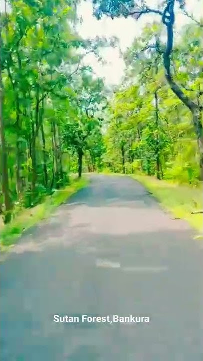 O akash sona sona || Sutan Forest || Bankura - YouTube