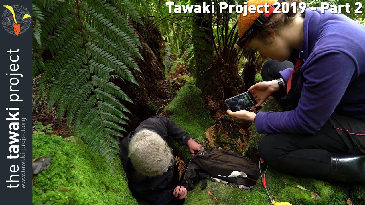Tawaki Project 2019 - Mini-documentary - Part 2: Nest Checks with ...