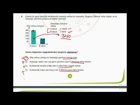 LGS Hazırlık Çalışma Soruları Çözümü(Adana İl Milli Eğitim Müdürlüğü)