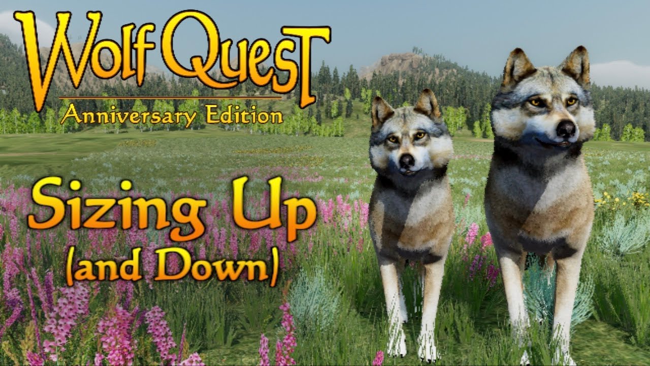 Sizing Up (and Down) - YouTube