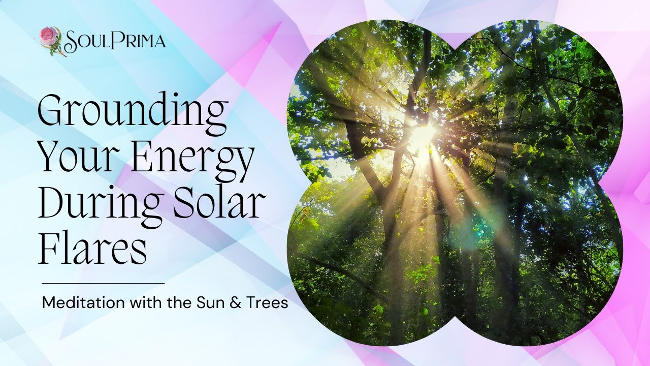 Grounding Your Energy During Solar Flares - Meditation with the Sun & Trees - YouTube