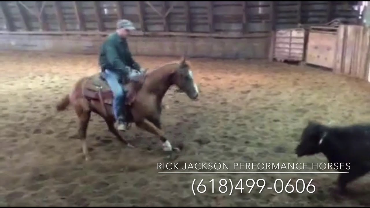 Dualin Ruby Rey - YouTube