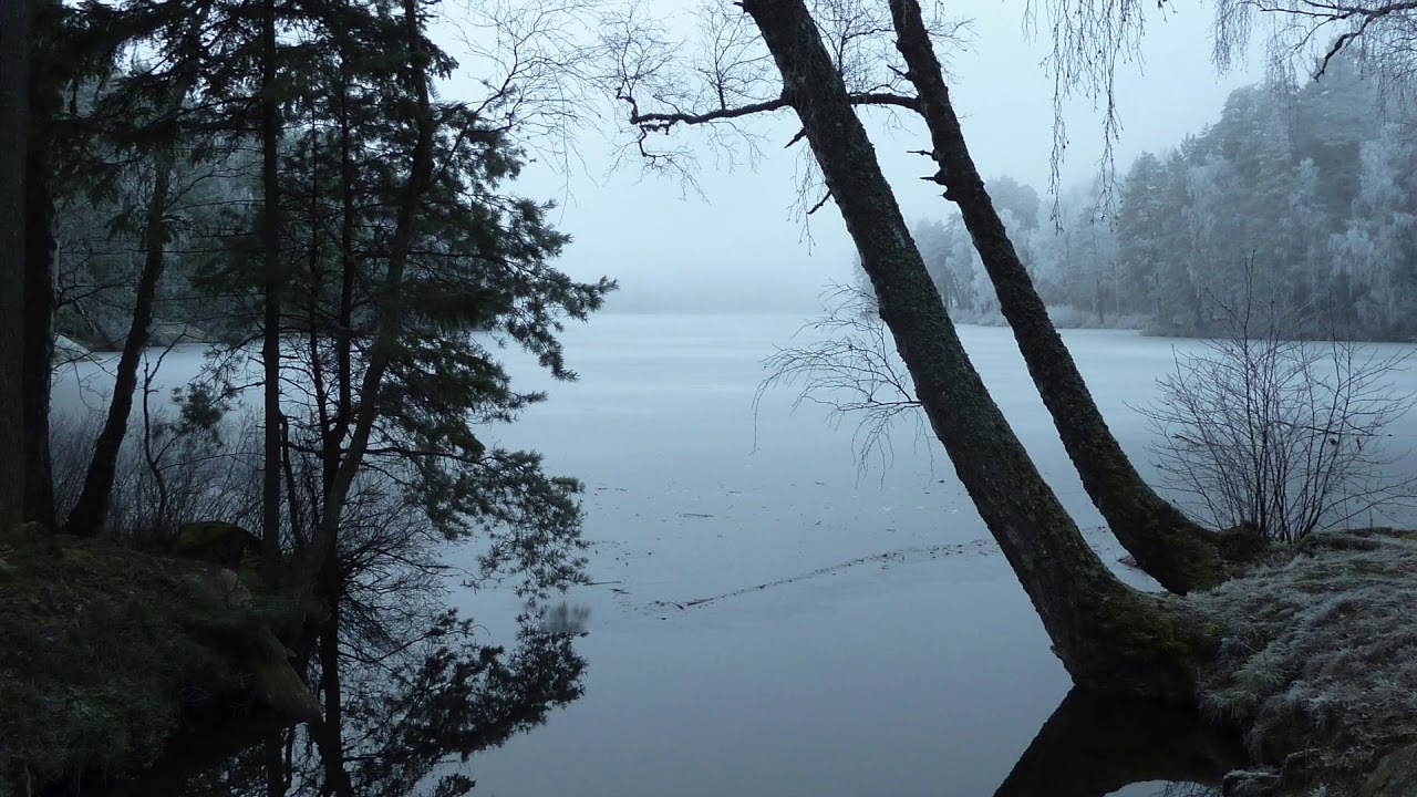 Kulning - Herding call - YouTube