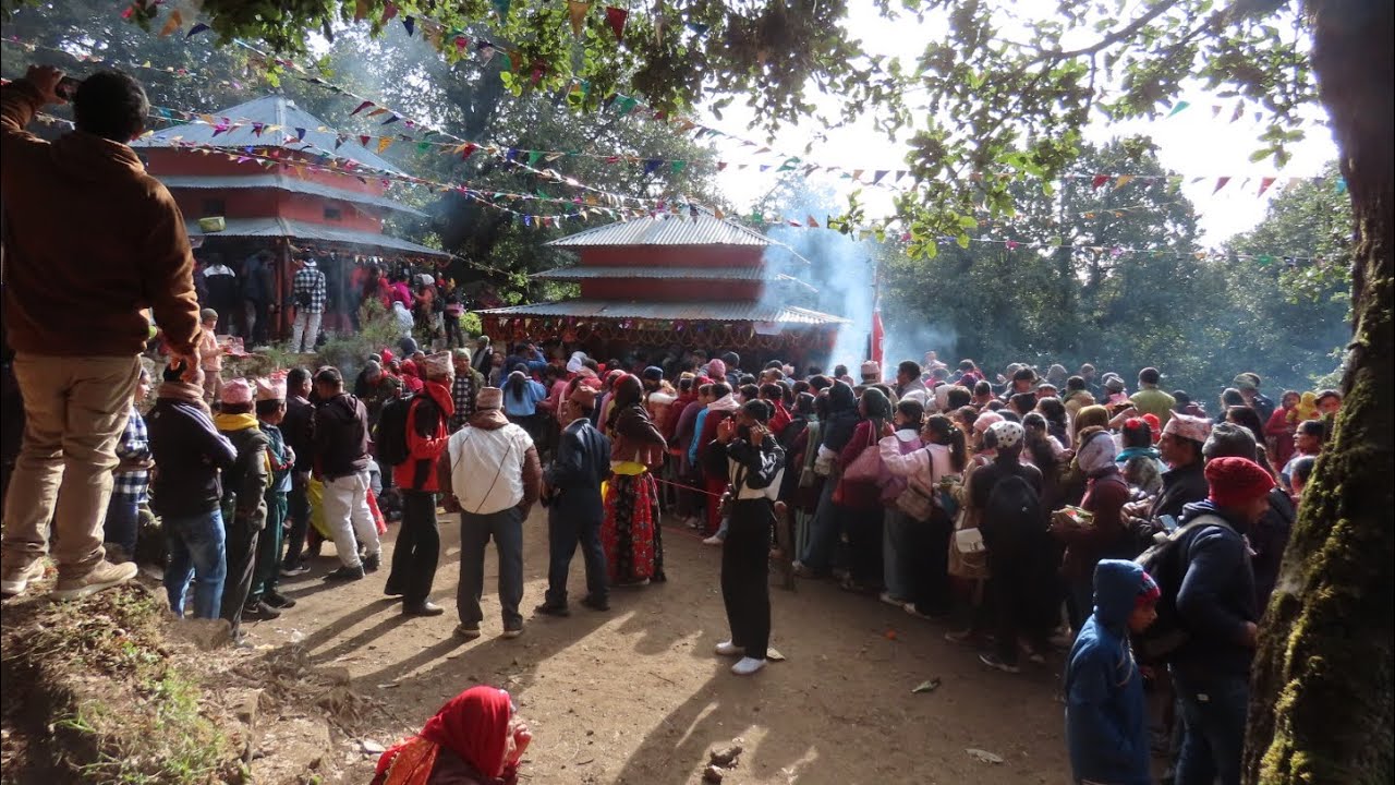 Traditional Panche Baja Dance Performance at ||BUDHI SATYAWATI ...