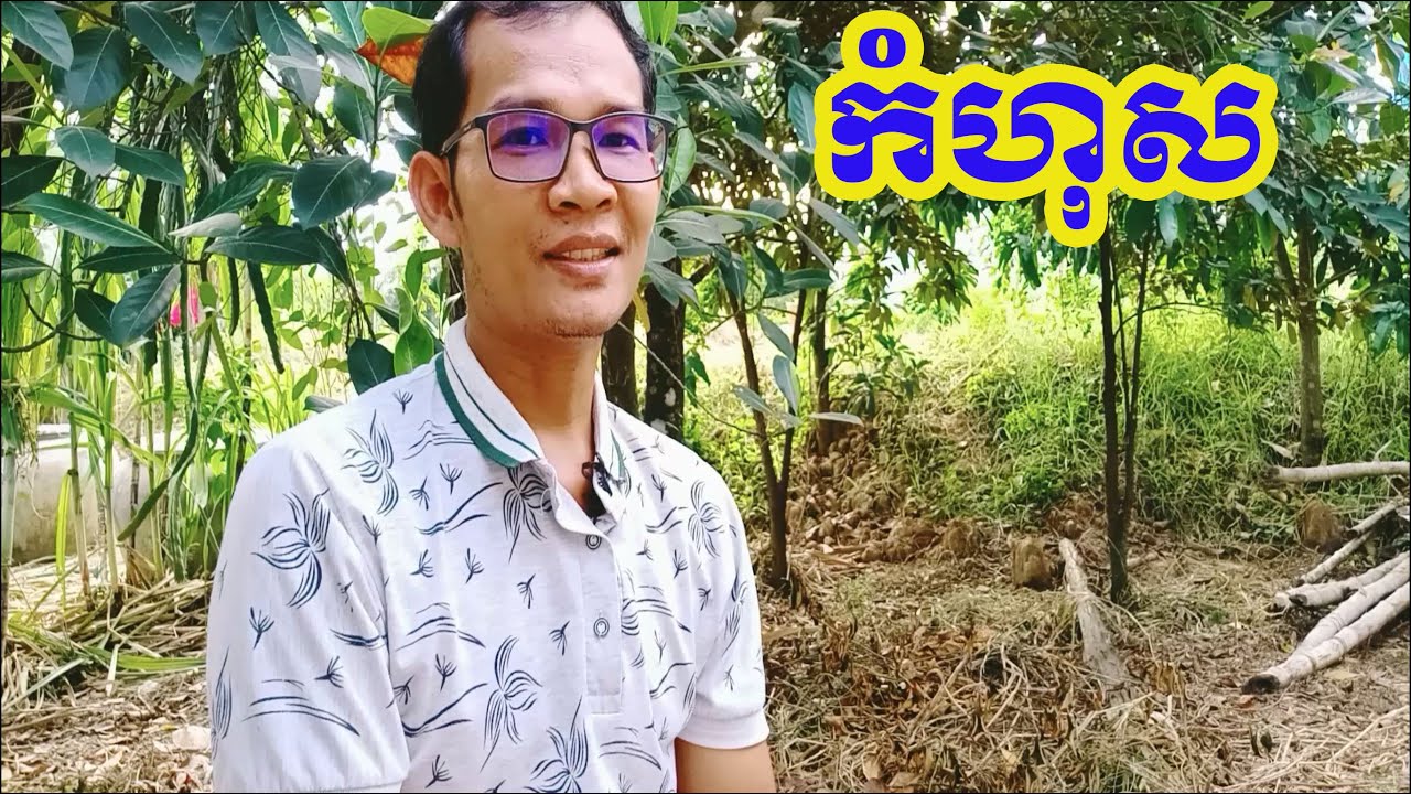 តើកំហុសក្លាយជាត្រឹមត្រូវដោយវិធីណា? - YouTube