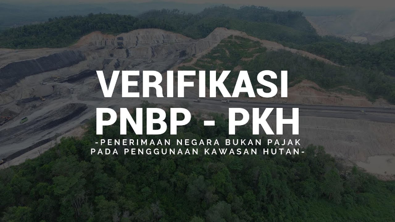 Verifikasi PNBP PKH - YouTube