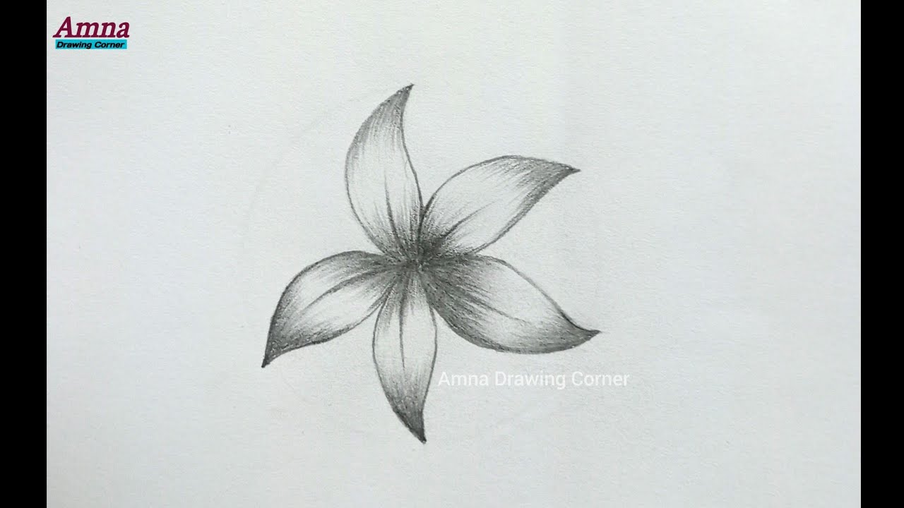 Easy Flower Drawing Step By Step - YouTube