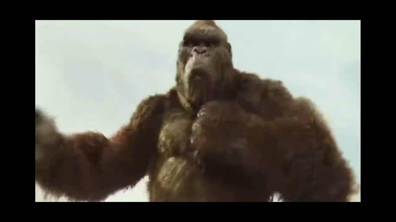 rarrr - YouTube