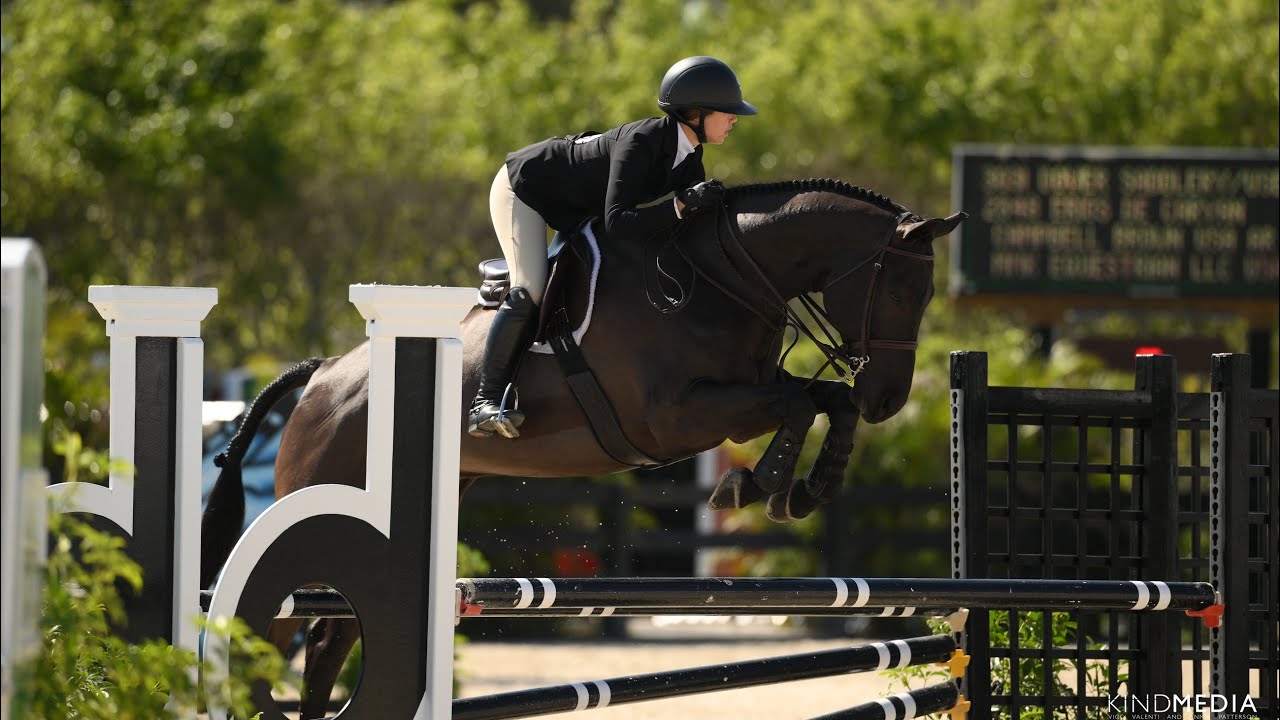 1st place in the WIHS Hunter Phase @ WEF- Hanna Dolan - YouTube