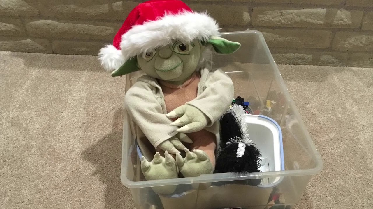 Skunkles the Christmas skunk - YouTube