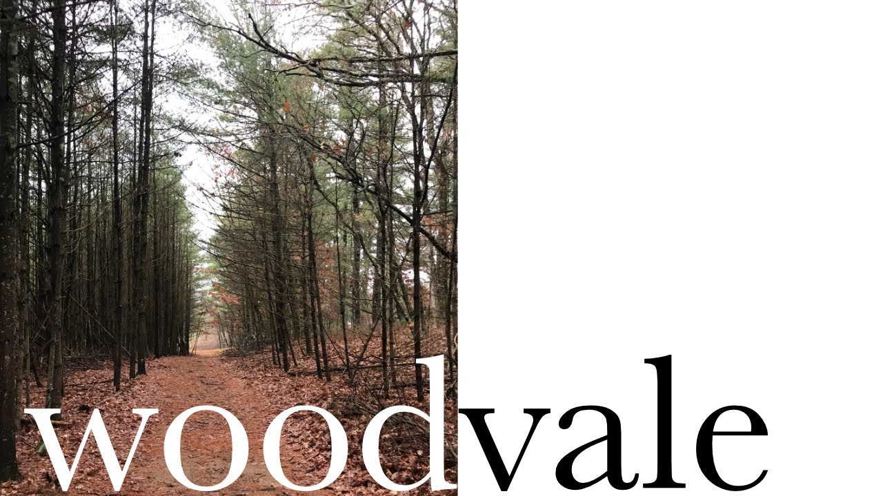 woodvale (taylor swift inspired) - YouTube