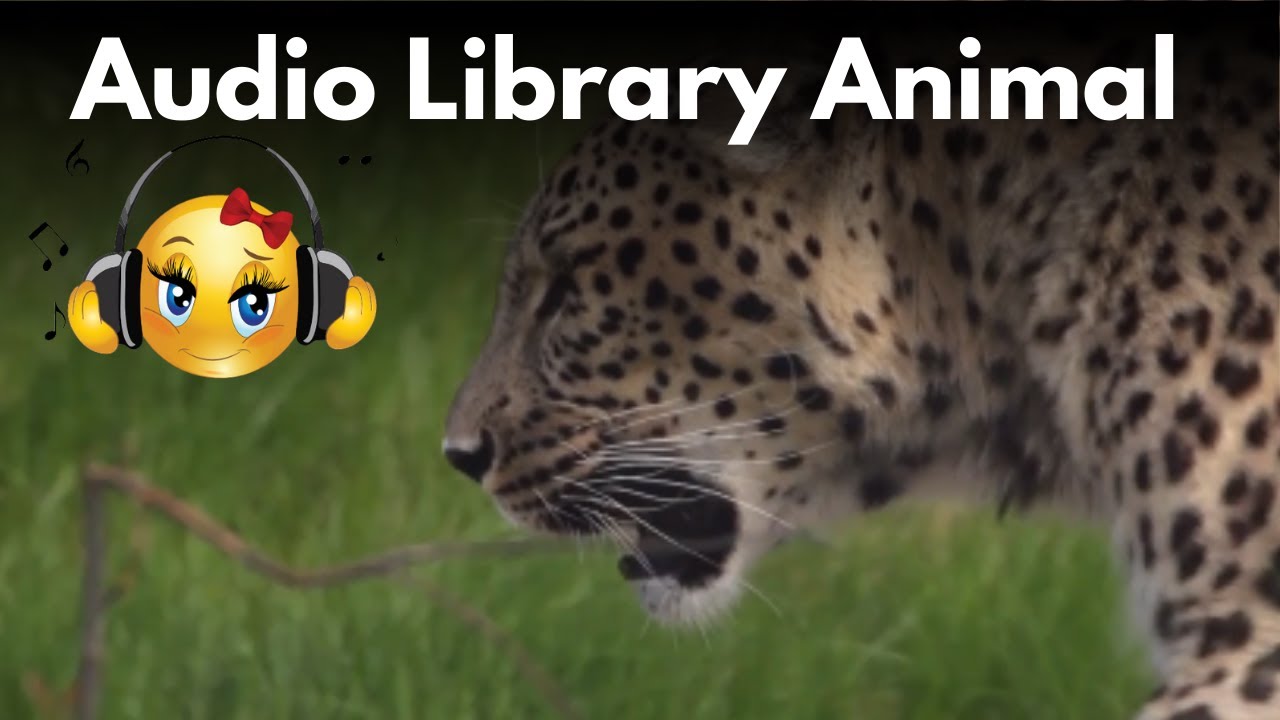Audio Library Animal - Wildlife - Audio Library - Savannah - Electronic ...