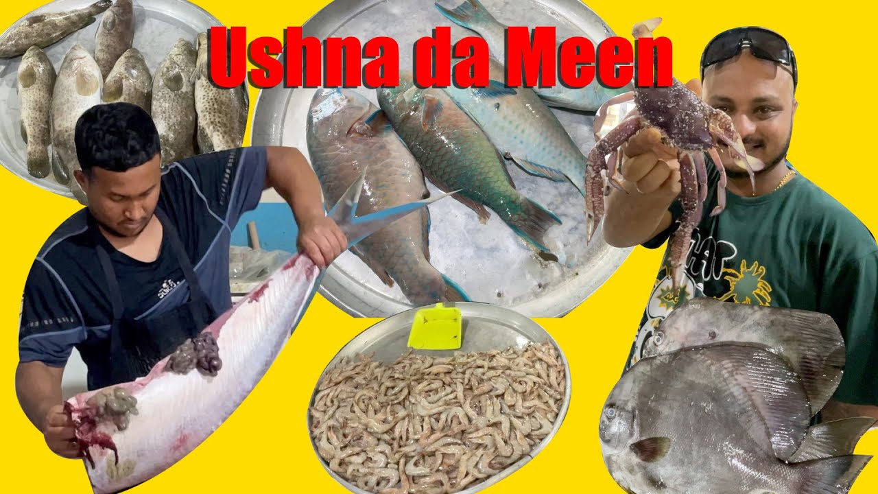 Bahrain da Fish Market 😍 - YouTube