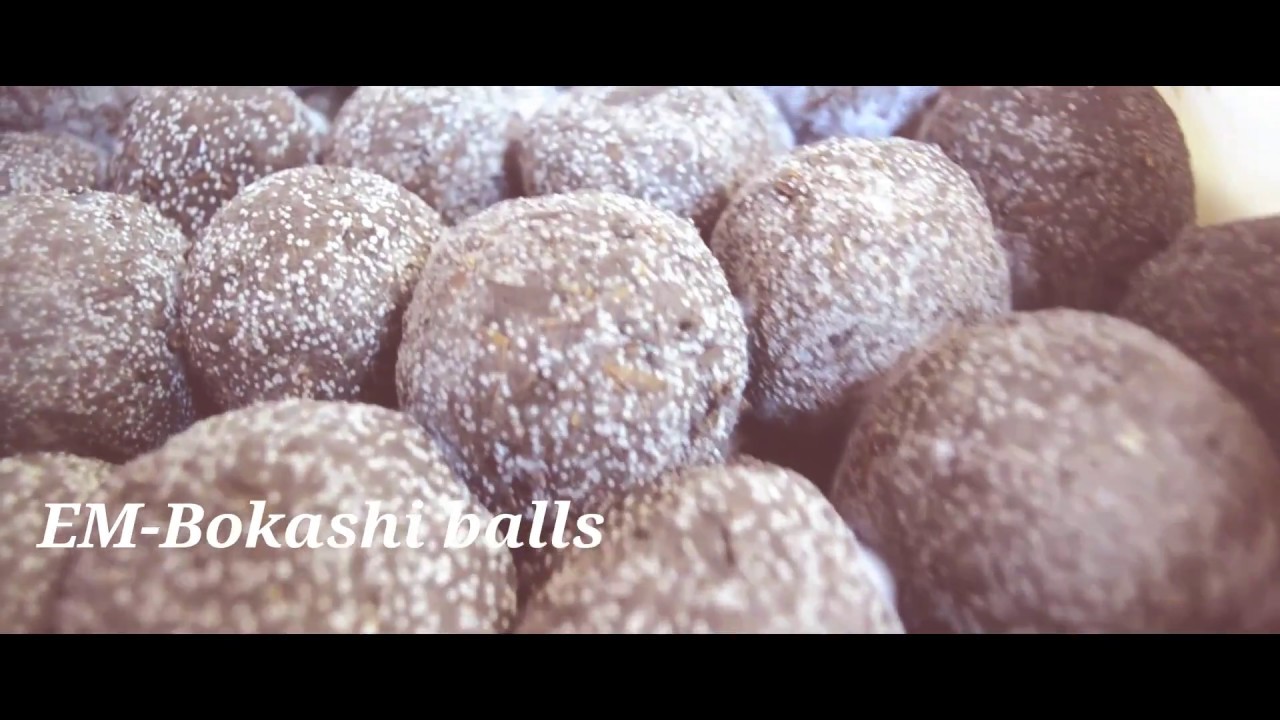 The Use of EM-Bokashi Ball in Improving the Water Quality in Prinza Dam ...