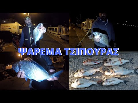 ΦΟΒΕΡΟ ΨΑΡΕΜΑ ΤΣΙΠΟΥΡΑΣ ΜΕΤΑ ΑΠΟ ΚΑΙΡΟ - YouTube