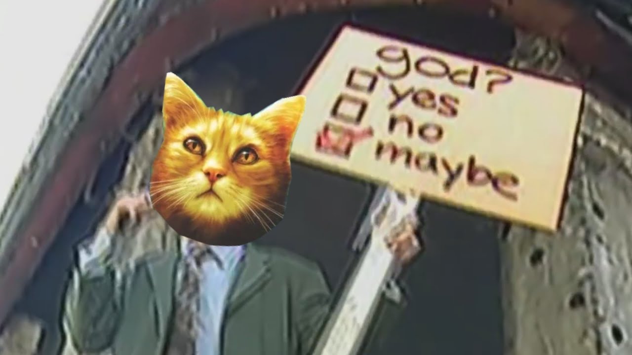 Mothwing the Agnostic Medicine Cat - YouTube