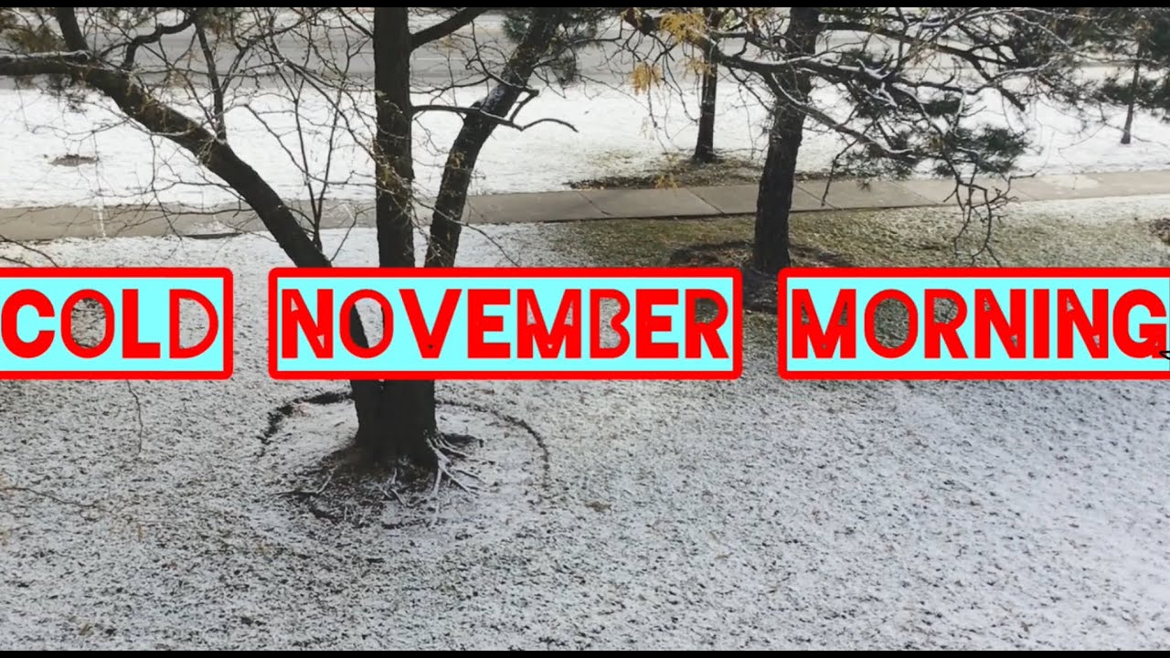 Cold November Morning in Toronto, with Angeline and Mommy Africa. - YouTube