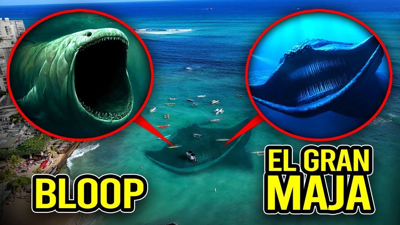 J'AI TROUVÉ LE BLOOP VS EL GRAN MAJA A LA PLAGE DANS LA VRAIE VIE ! Le Film Du Bloop ! - YouTube