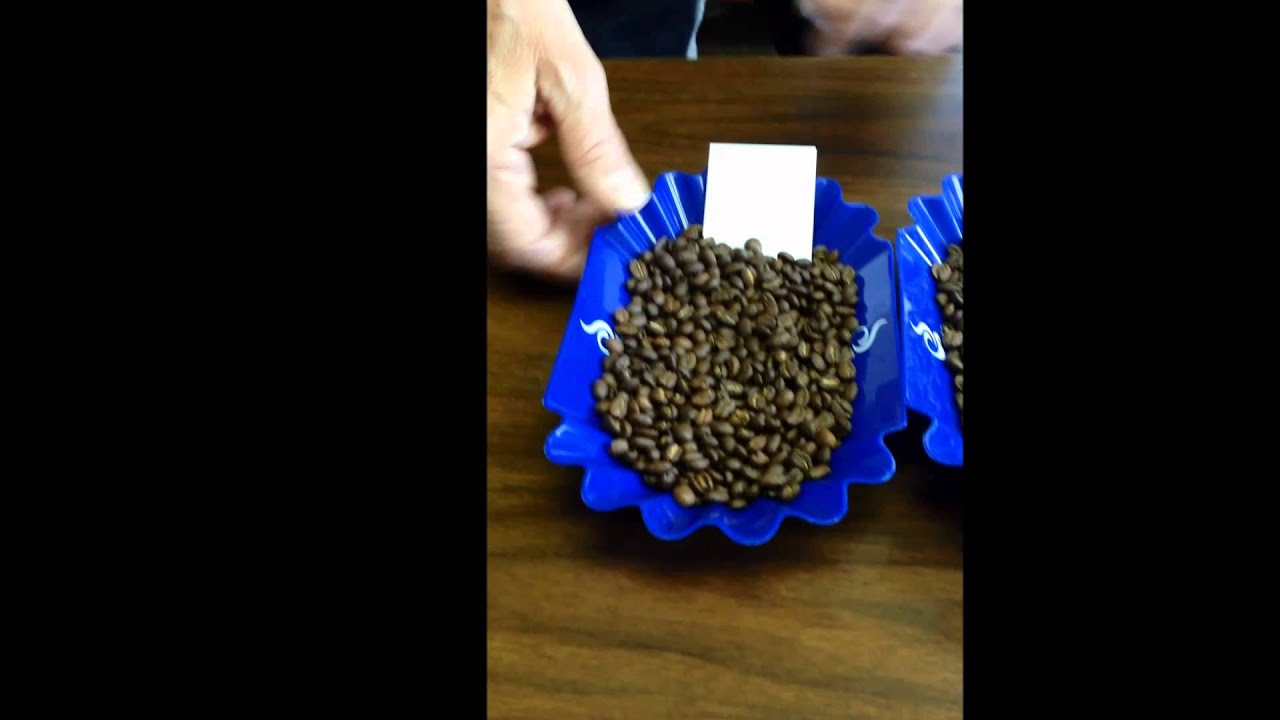 Coffee Blends & Coffee Origins EXPLAINED - YouTube