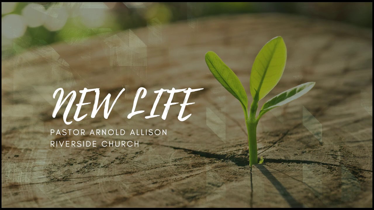 New Life (Part 5): Restoration to a Relationship - YouTube