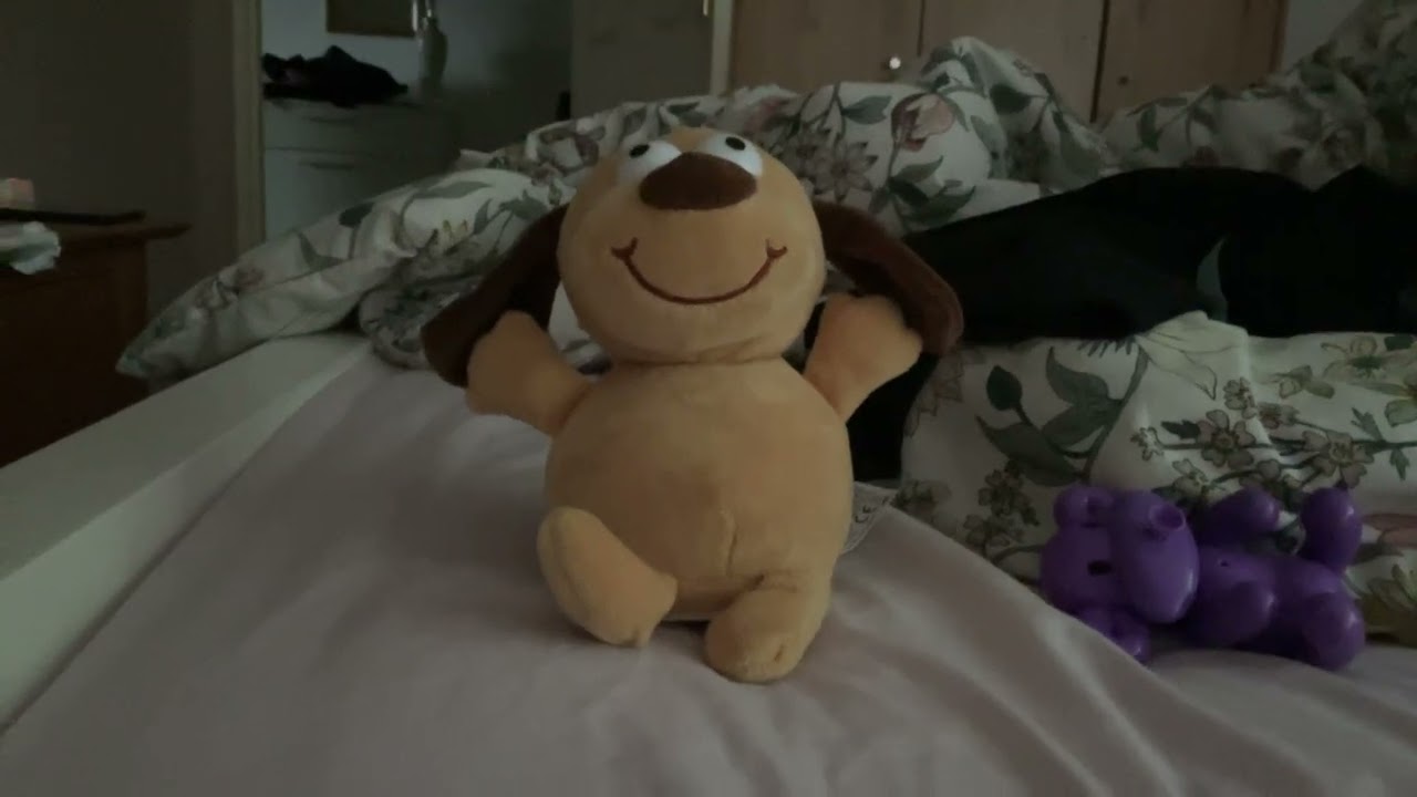 Talking Tyler and baby hippo talk back toy For talking dencat maker ...