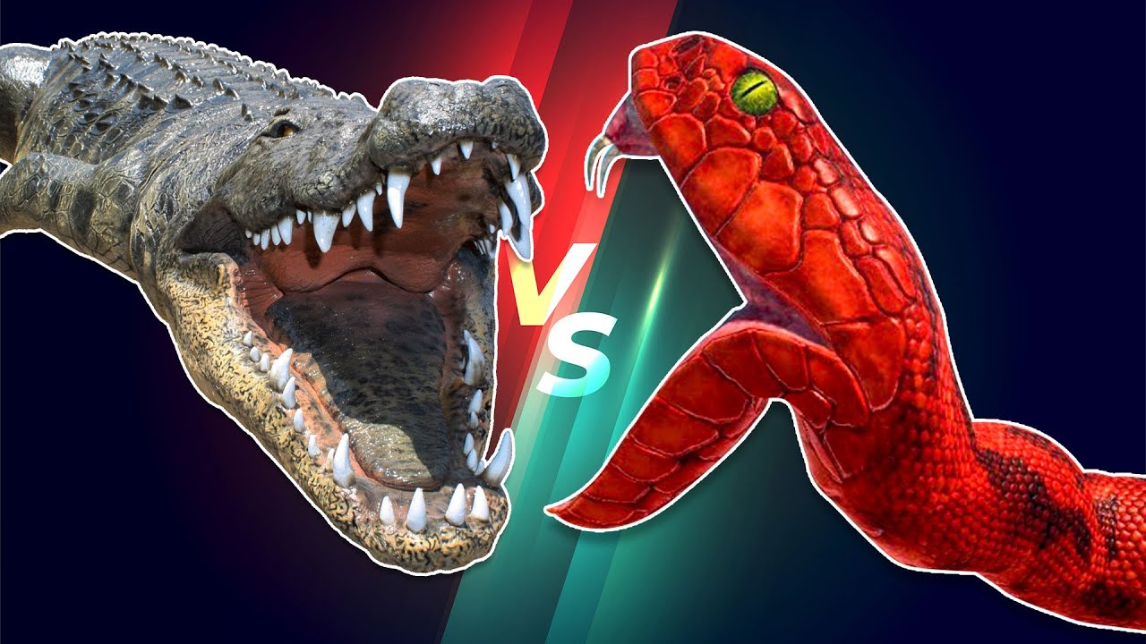 Master TOURNAMENT | PURUSSAURUS VS TITANOBOA | Animal Revolt Battle ...