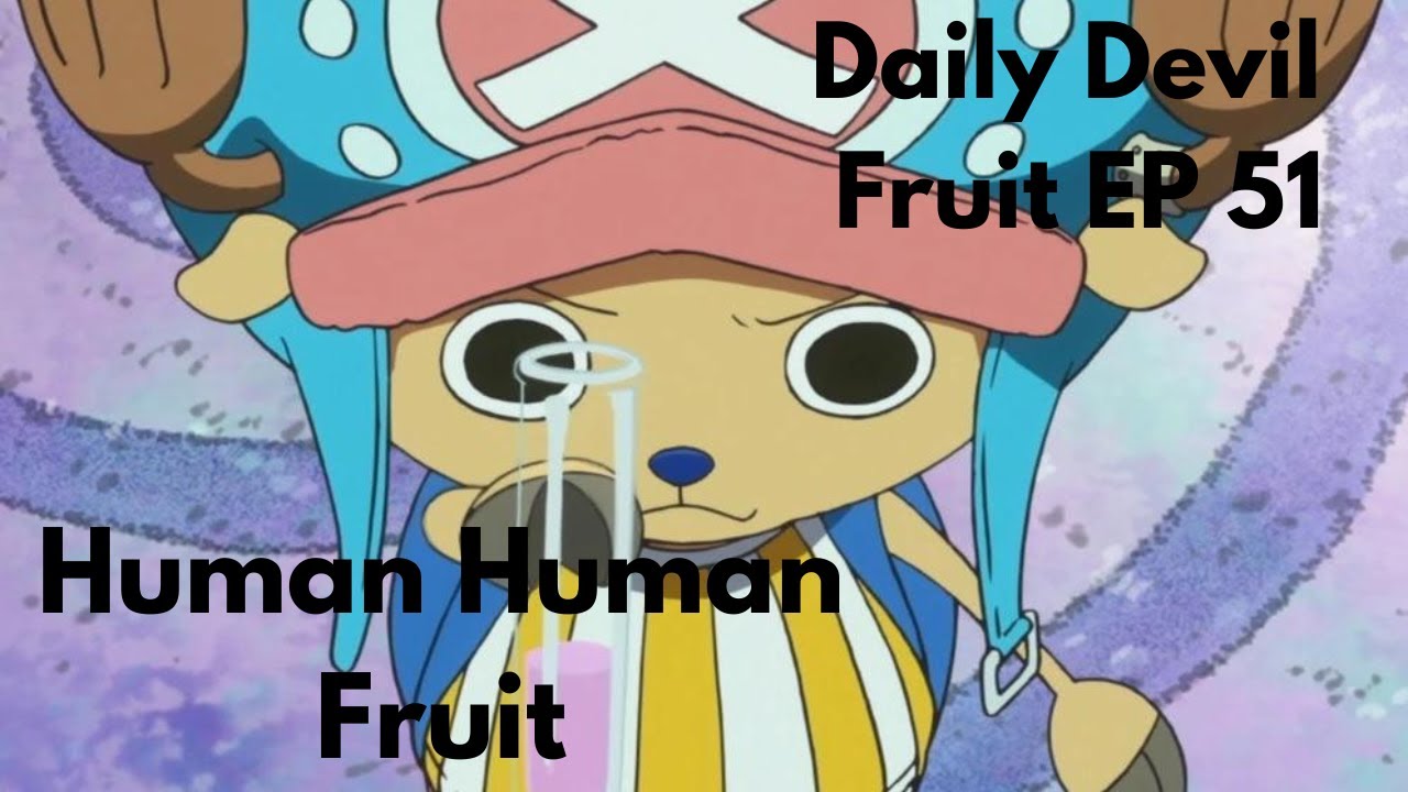 DAILY DEVIL FRUIT EP 51: HUMAN HUMAN FRUIT MODEL: BASE - YouTube