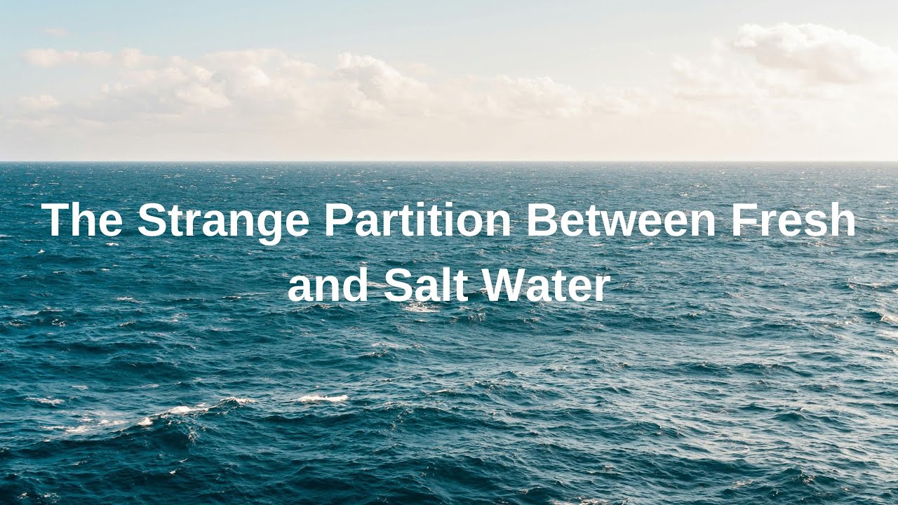 The Strange Partition Between Fresh & Salt Water | Quran & Science 🌊 ...