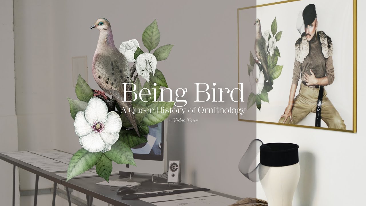 Being Bird: A Queer History of Ornithology. A Video Tour - YouTube