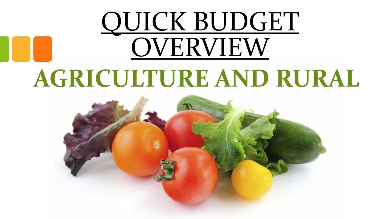 Quick Overview of Budget - Lecture 1 - Agriculture and Rural - YouTube