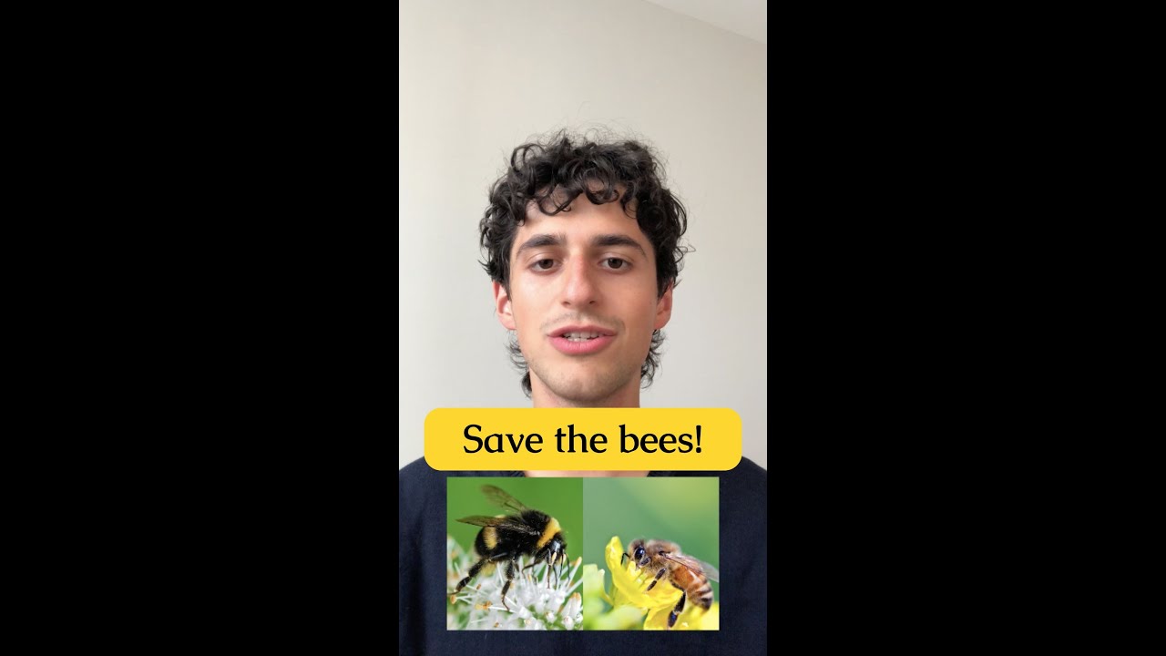 Americans are focused on saving the wrong bees. - YouTube