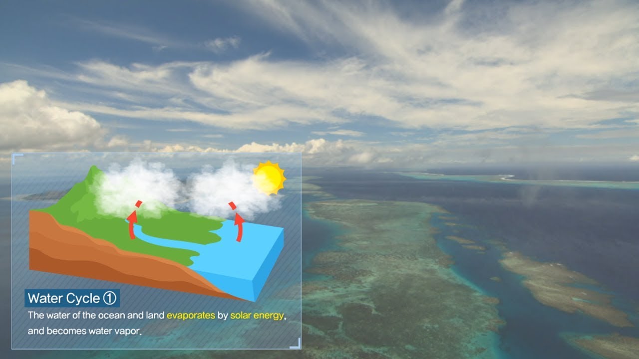 [Science Pack] The Water Cycle - YouTube
