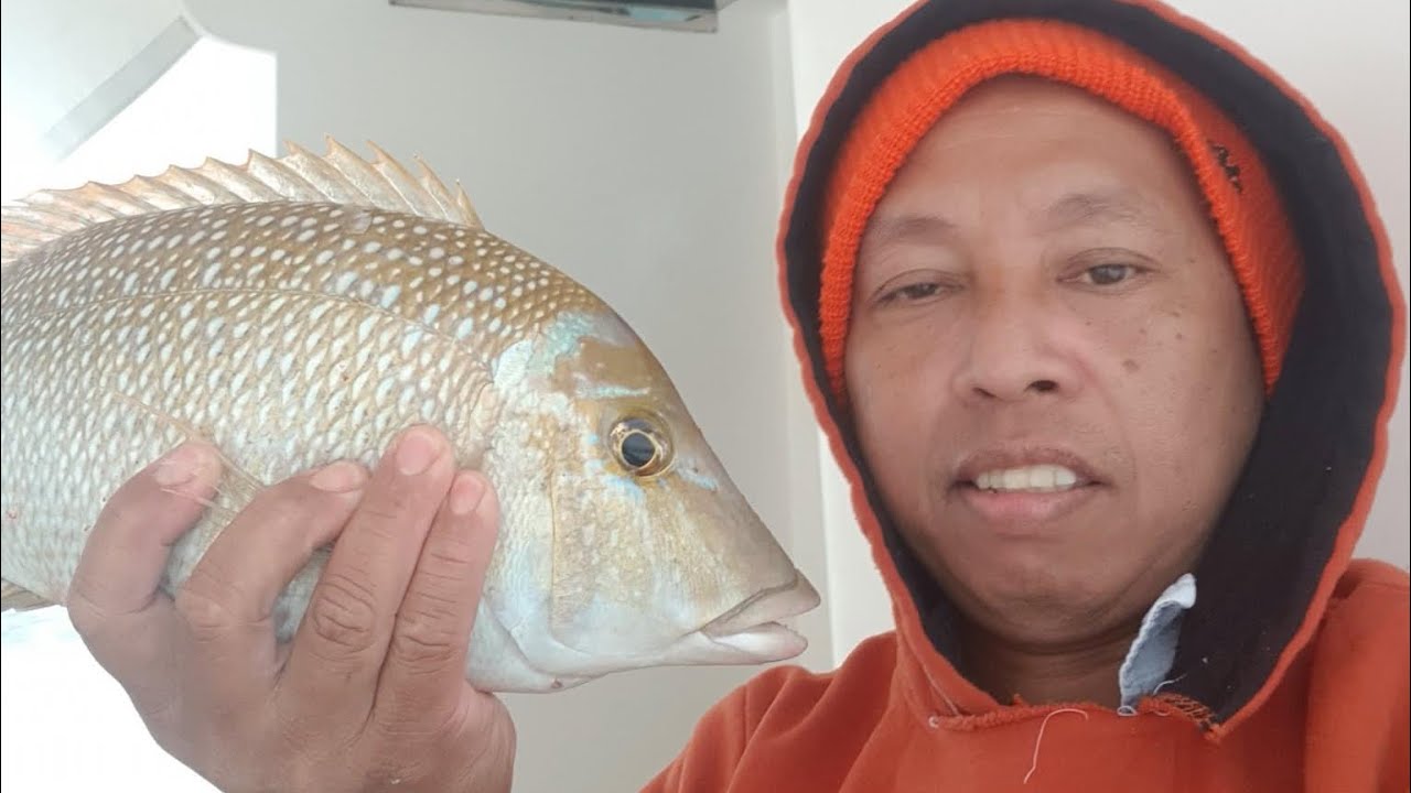 BUTTON FISHING 🎣 PART ONE - YouTube