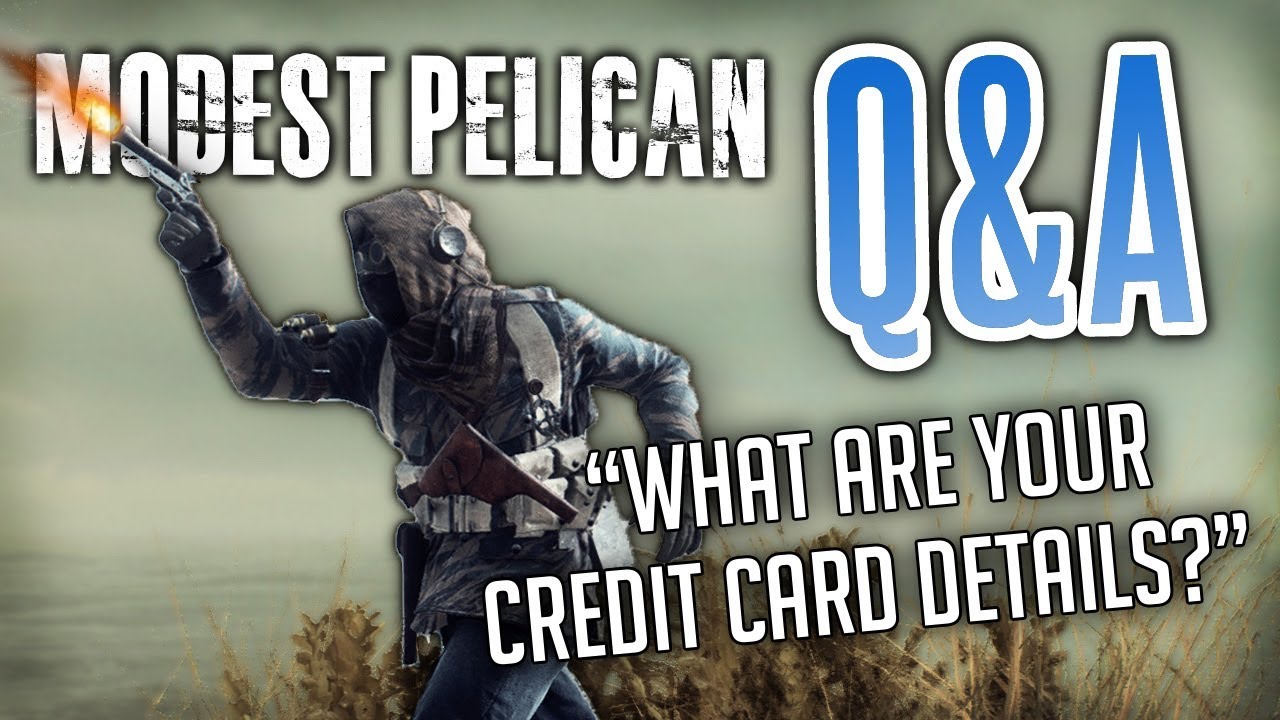 MODEST PELICAN Q&A | "Why don't you love me dad?" - YouTube