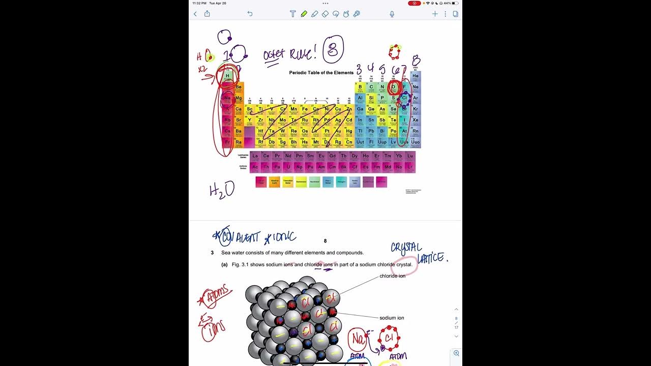 AICE Marine Science Specimen Paper 1: Question 3 - YouTube